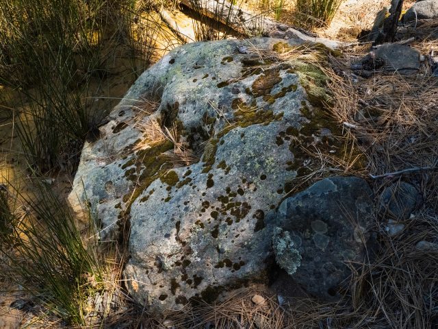 Grinding Stone v. Photograph: Nevada City Rancheria Nisenan Tribal Law ...